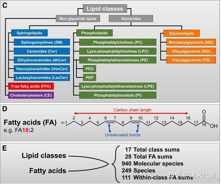 【Circulation】IF39.9！血浆脂质组大样本如何设计研究方案 - 知乎