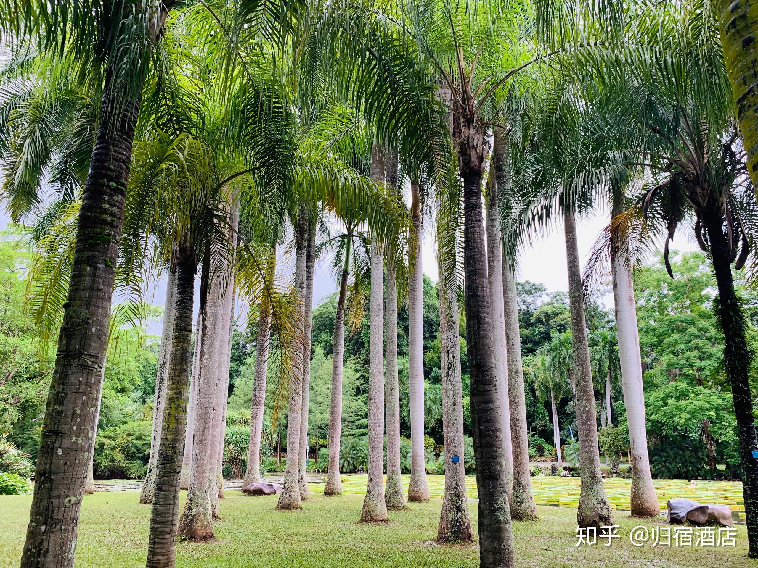 见自然，见万物 - 知乎