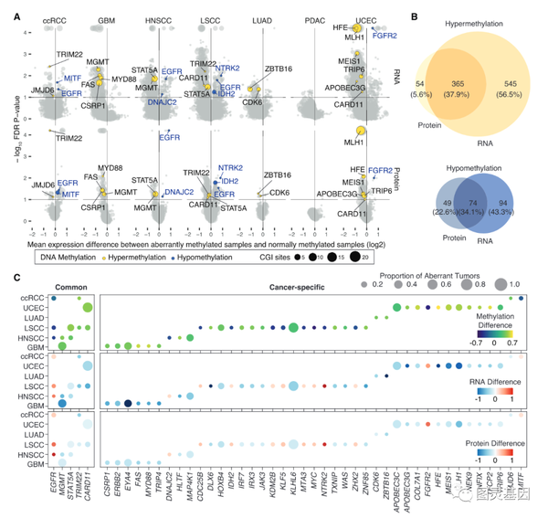 Can Cell | 丁莉教授团队多组学癌症图谱揭示治疗敏感性和细胞来源相关的DNA甲基化模式 - 知乎