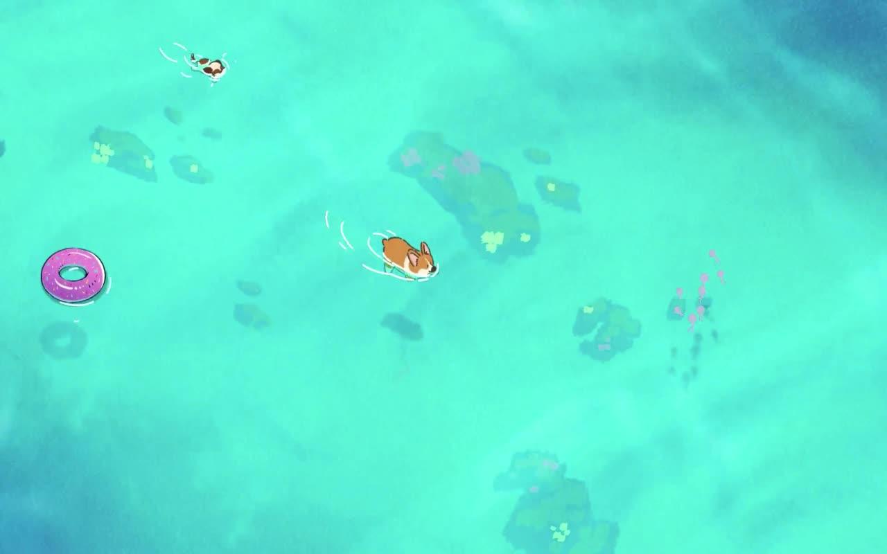 Doggie Corgi 小可爱柯基mac动态屏保，好可爱啊！mac动态屏保引擎iSaver - 知乎