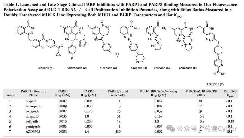 解析具有CNS渗透性的PARP1抑制剂AZD9574分子设计及优化过程 - 知乎