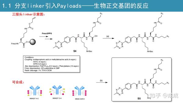 双载荷ADC的构建思路| Antibody-drug conjugates with dual payloads - 知乎
