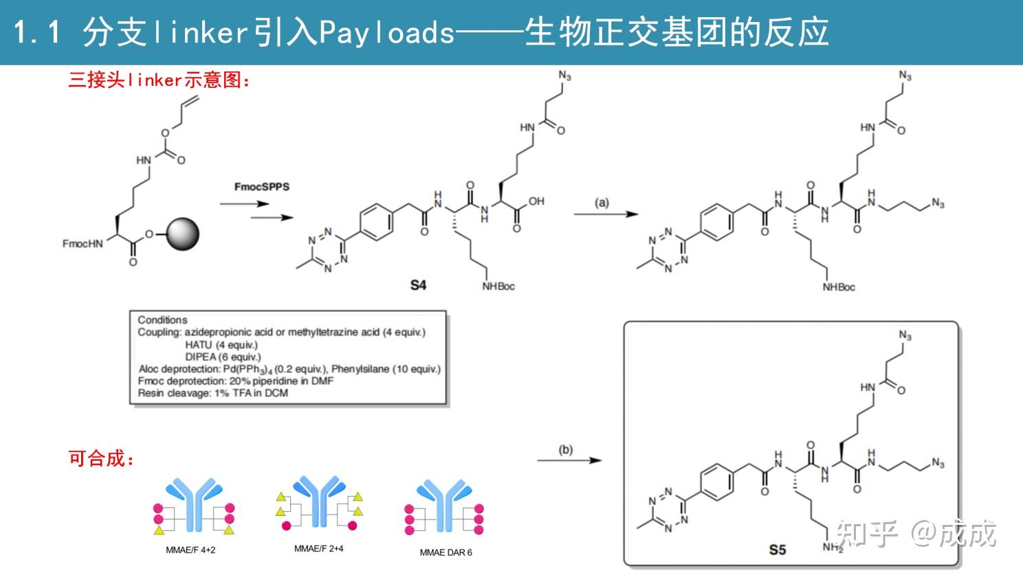 双载荷ADC的构建思路| Antibody-drug conjugates with dual payloads - 知乎
