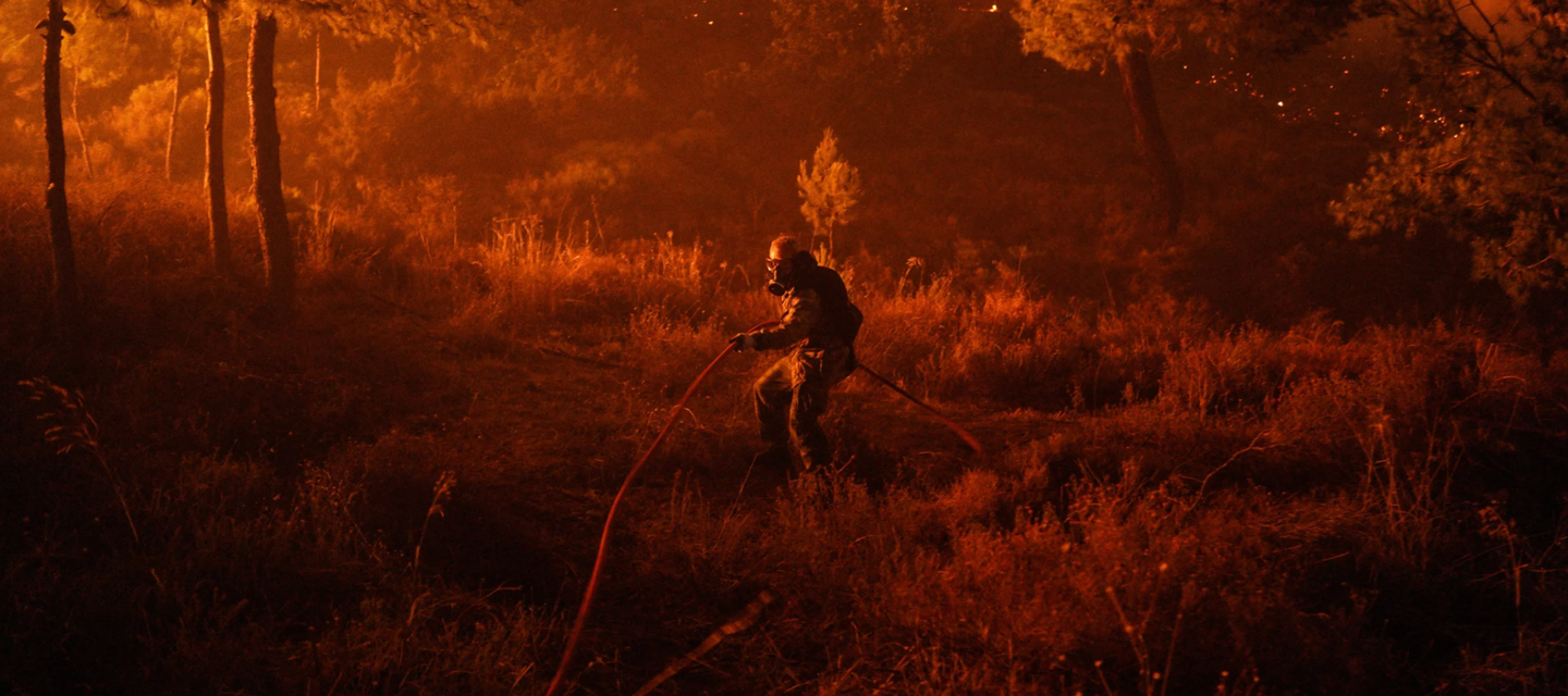 Nature2024年度最佳科学图片公布，中国青年学者成果入选！ - 知乎