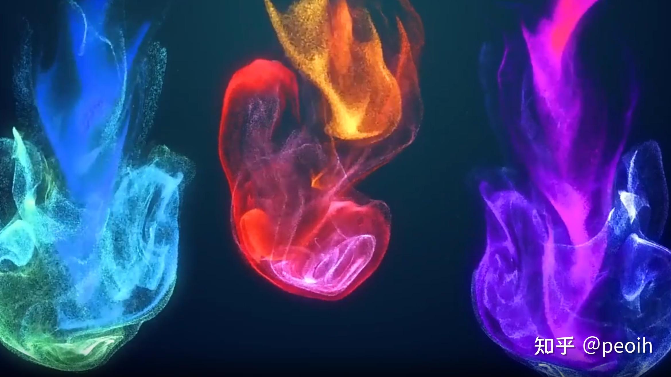 【AE插件分享】红巨星粒子套装插件Trapcode Suite2024.1.0 - 知乎