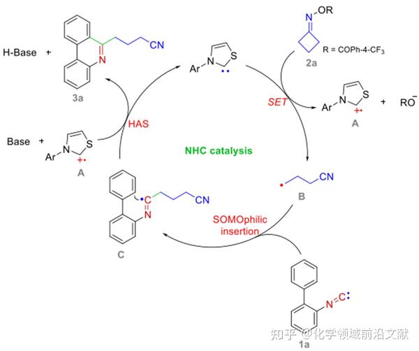 暨南大学王成明教授课题组：N-杂环卡宾催化无金属参与γ-氰烷基自由基的产生：6-氰烷基菲啶的高效合成 - 知乎