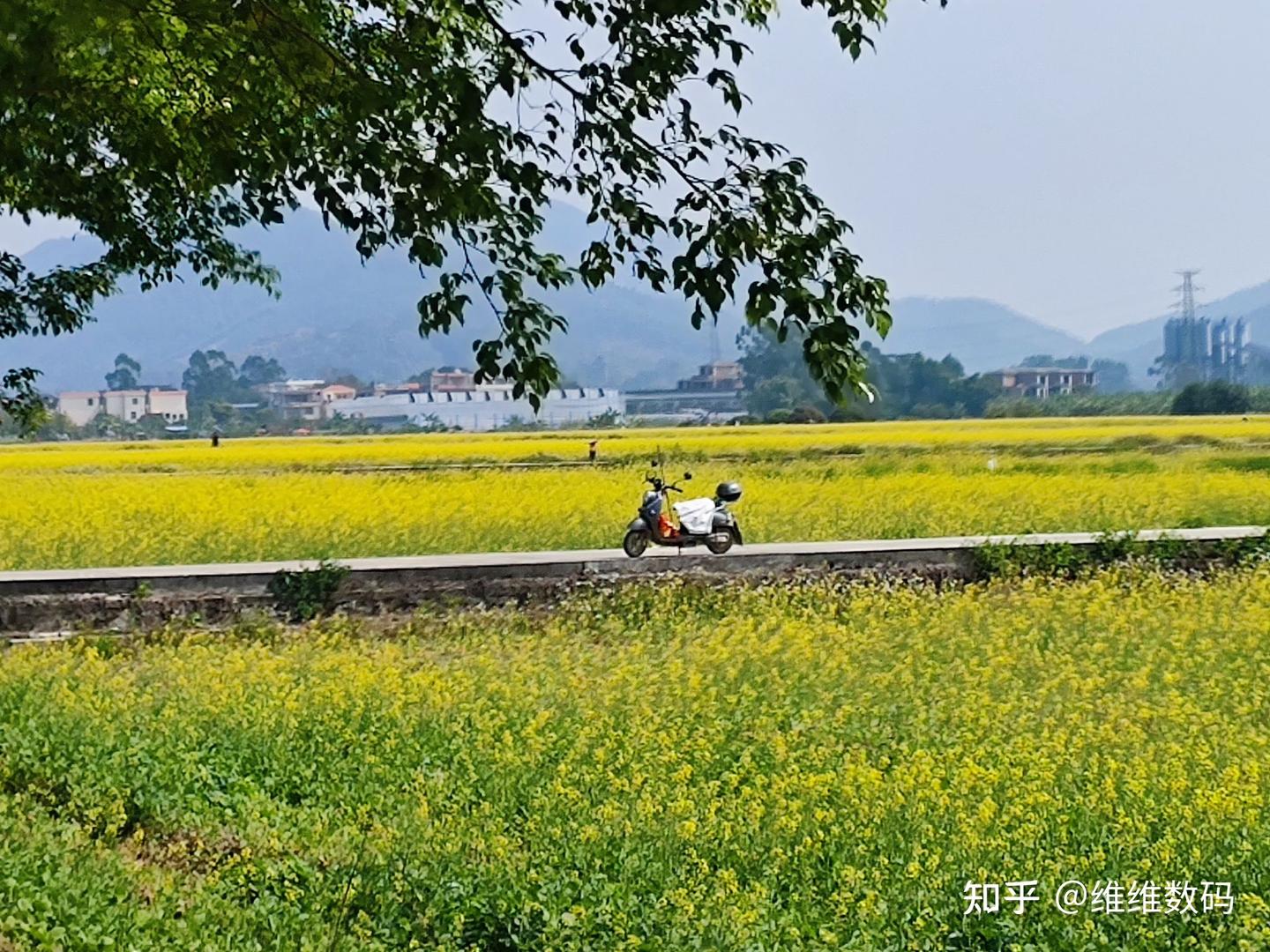 多图慎入！小米11ultra原生相机VS谷歌相机 - 知乎