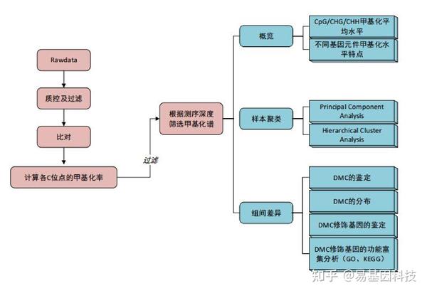 干货：手把手教你做RNA m5C甲基化测序分析（RNA-BS） - 知乎