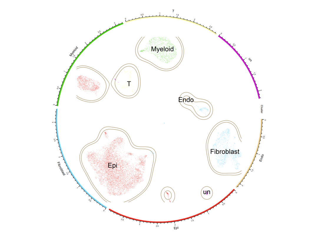 scRNA复现|所见即所得，和Cell学umap，plot1cell完成惊艳的细胞注释umap图 - 知乎