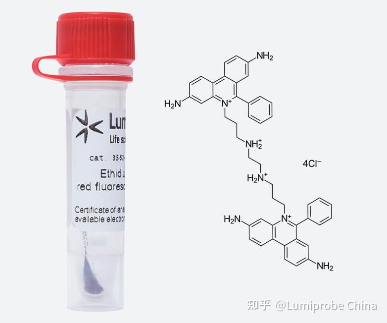 Expanded portfolio of nuclear dyes for cell biology applications (细胞生物学 ...