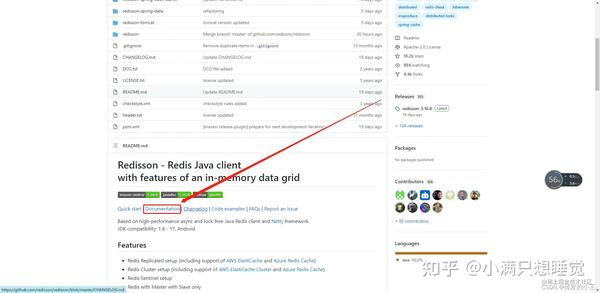 Redisson源码解读——从官网到整合Springboot - 知乎