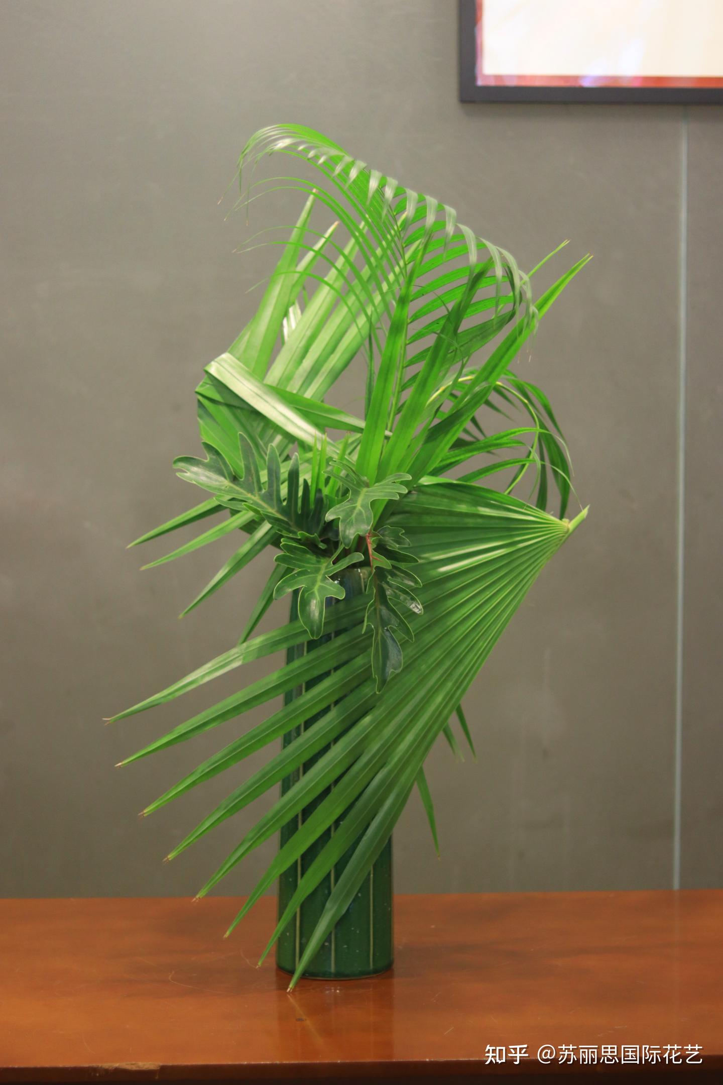 跟着花花老师学草月 - 知乎