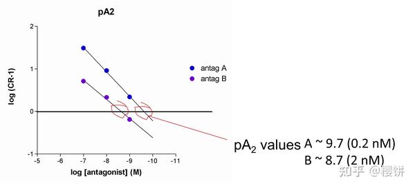 G蛋白耦联受体：量化竞争性拮抗 - 知乎