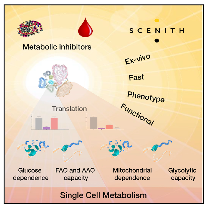 Cell Metab | 代谢检测进入单细胞时代 - 知乎