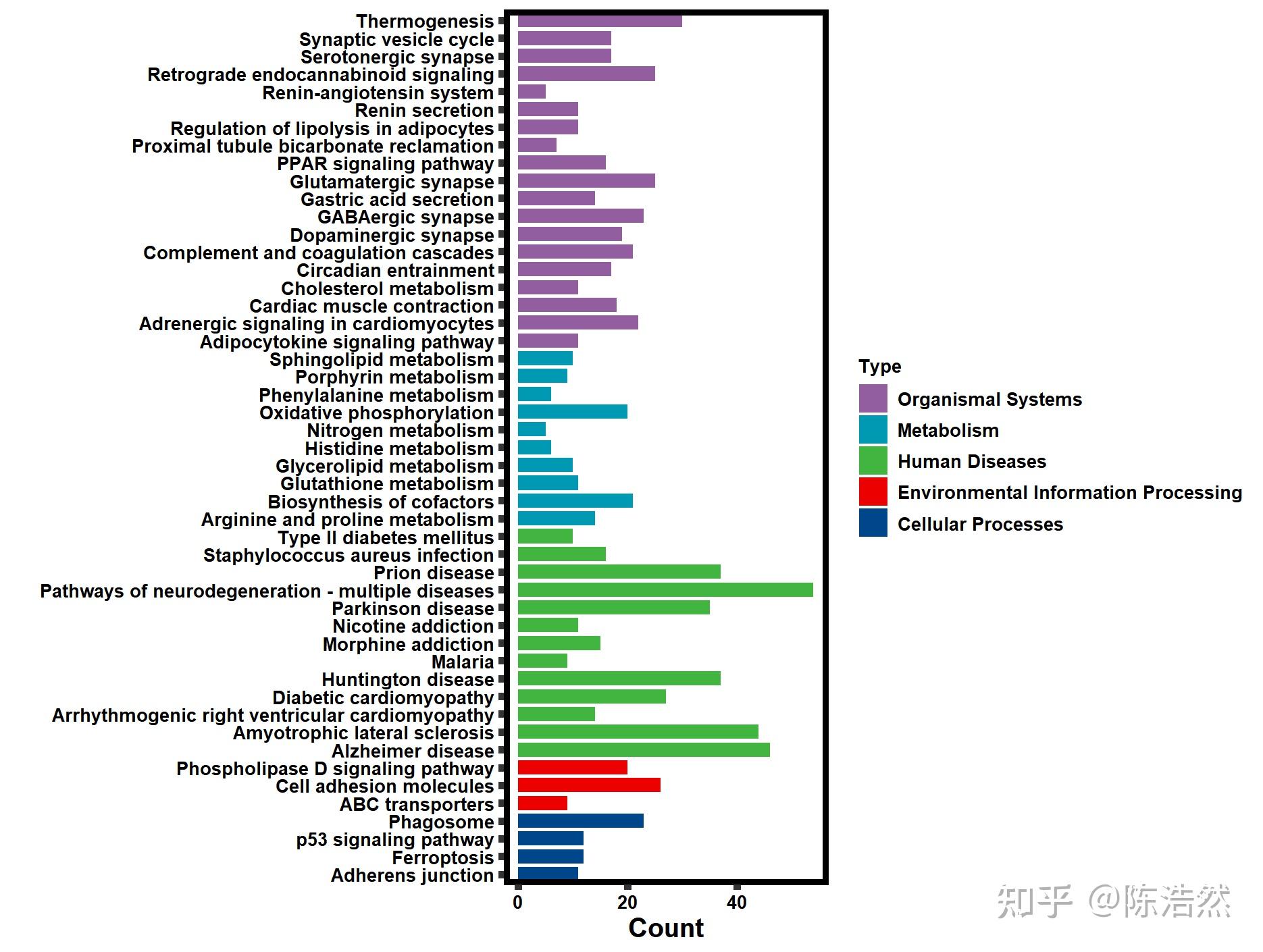 KEGG通路结果分类排列，找通路更快一步 - 知乎