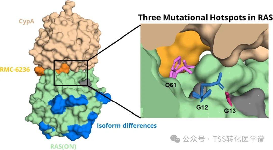 【JMC】RMC-6236 分子发现与设计 - 知乎