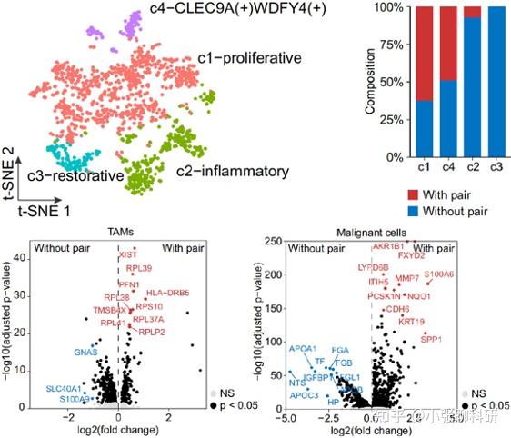 文献详解丨肿瘤与免疫细胞互作好比锁钥？这篇NC文章把scRNA-seq玩出新花样 - 知乎