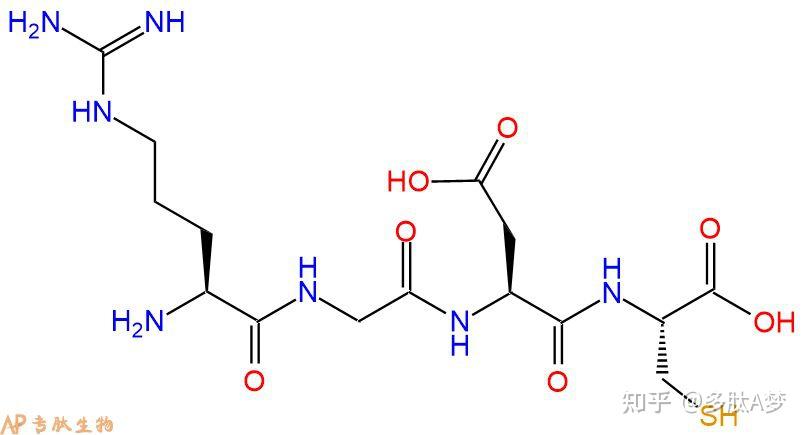 线性多肽RGDC|109292-46-8| - 知乎