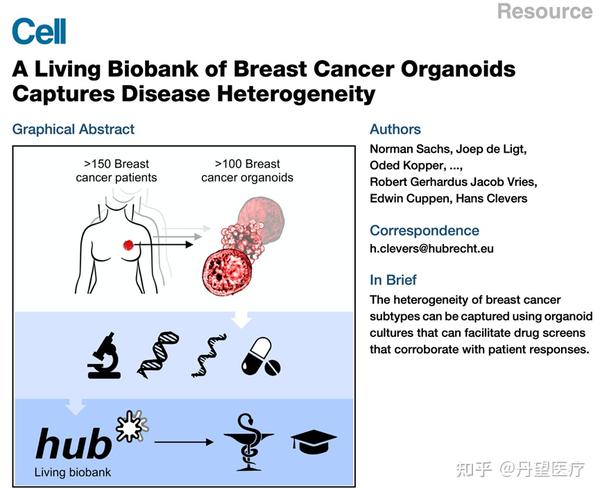 类器官领域的先驱：Hans clever 文献精选 - 知乎