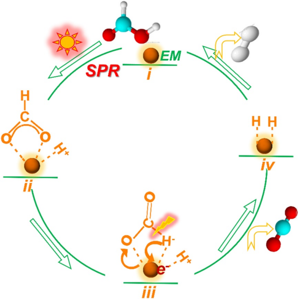 精选干货丨光学表面等离子共振仪SPR技术应用合集来了 - 知乎