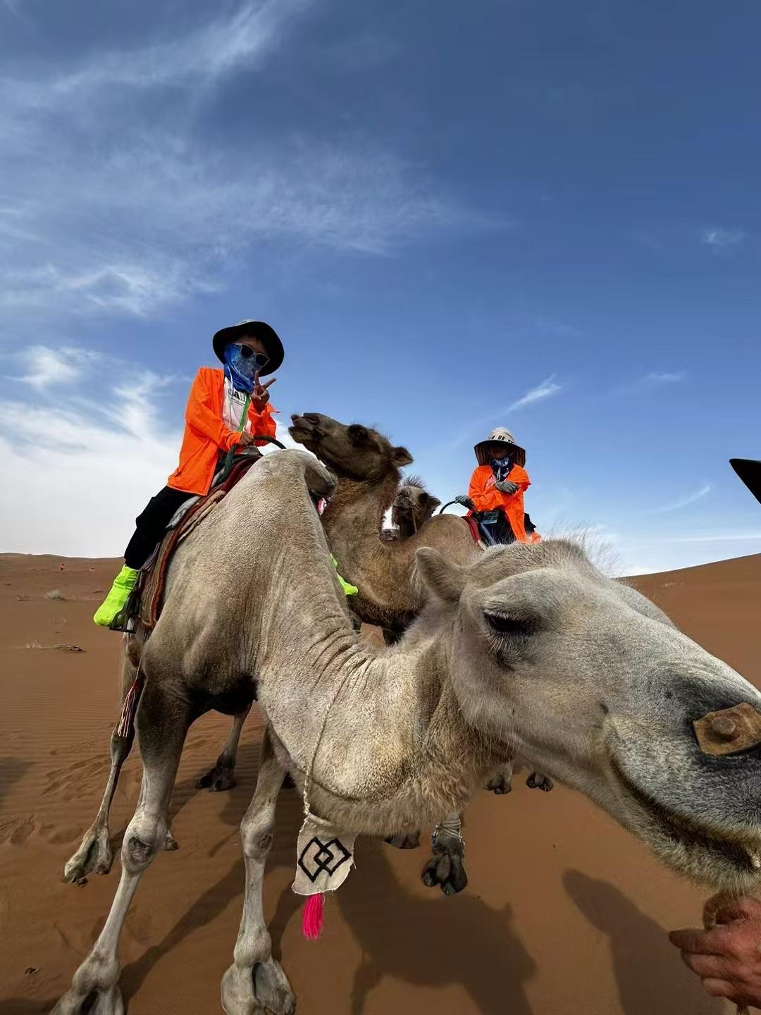 4天徒步52KM！穿越腾格里五湖+沙漠植树，篝火星空一次集齐！ - 知乎