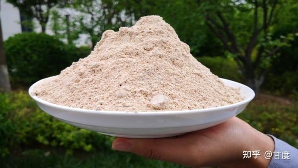 微生物反硝化菌的生长环境 - 知乎