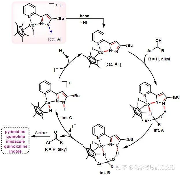 华中科技大学唐从辉OCF：新型双功能钴配合物催化醇和胺的无受体脱氢偶联合成含氮杂环 - 知乎