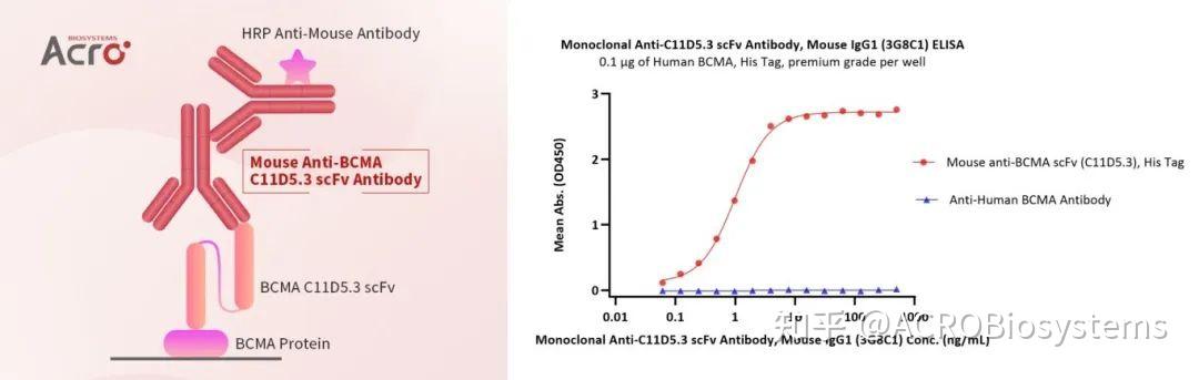 【全新发售】检测Anti-BCMA(C11D5.3) CAR的高特异性抗体！ - 知乎