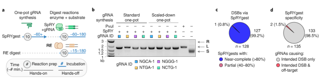Nat Biotech | 新技术可在几乎任何位置切割DNA，取代限制性内切酶 - 知乎