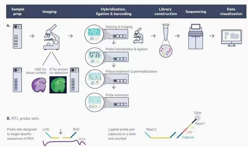 FFPE样本也能做空间转录组测序？10Xgenomics Visium FFPE解决方案提供更多应用场景！派森诺开启预约服务通道 - 知乎