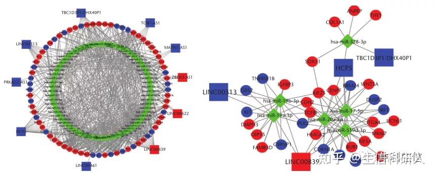 发5+的CERNA网络，秒懂！！！！ - 知乎