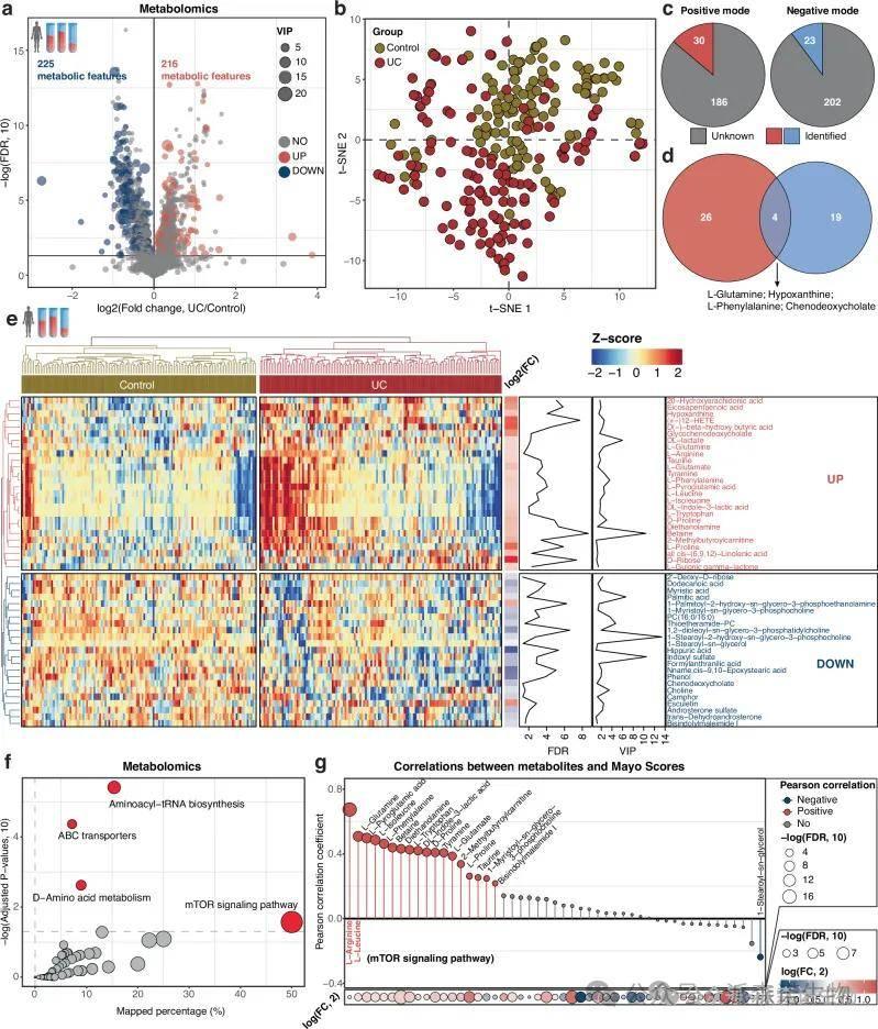 《医学多组学文献分享》Nat. Commun. 重磅发现：靶向ASS1-精氨酸轴或成溃疡性结肠炎治疗新策略 - 知乎