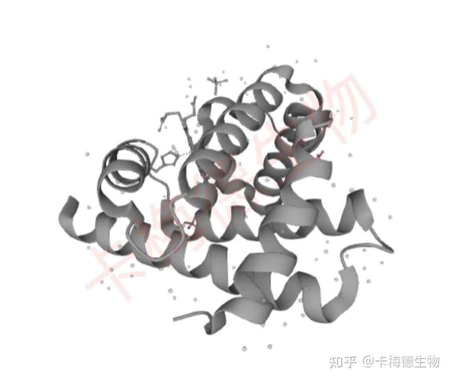 心肌蛋白（MYO）介绍 - 知乎