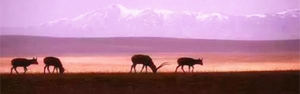 词语杂谈（82）as opposed to 的两个用法 - 知乎