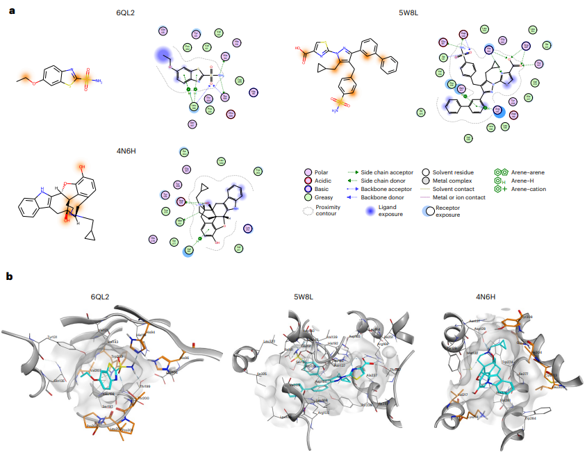 Nat.Mach.Intell.| 自适应和可解释的药靶预测模型 - 知乎