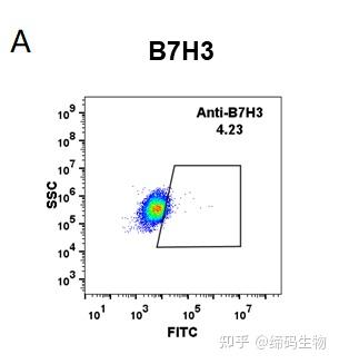 肿瘤免疫靶点 | B7-H3 - 知乎