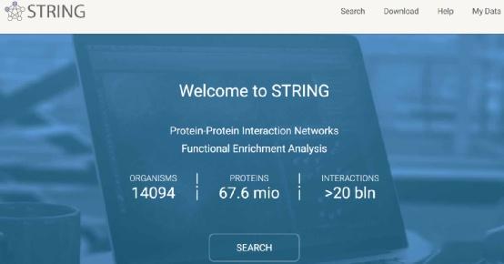 STRING数据库：蛋白质相互作用(PPI网络)的分析神器~ - 知乎