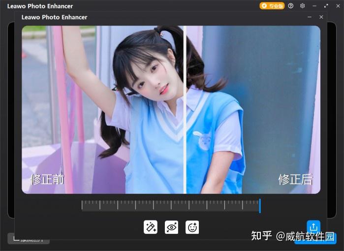ai图像处理软件集大成者：Leawo PhotoIns Pro中文版介绍 - 知乎