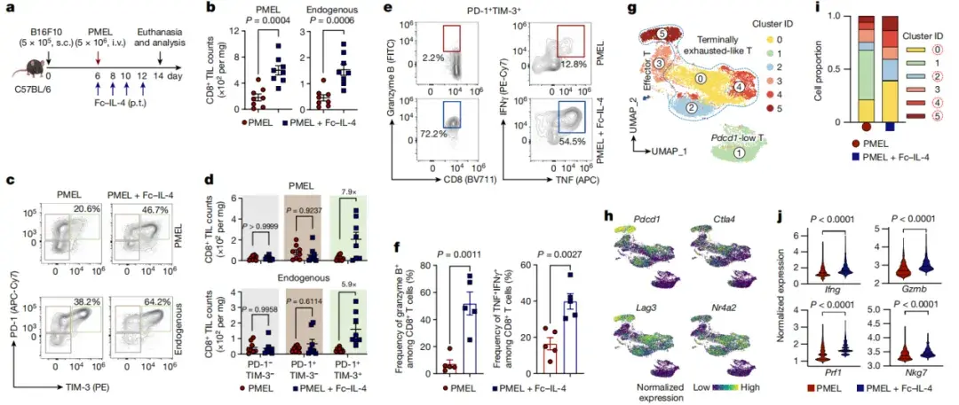 Nature项目文章 | 单细胞测序联合ATAC解析2型细胞因子诱导耗竭CD8+ T细胞恢复抗癌活性 - 知乎