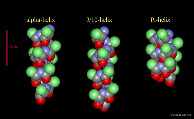 知识扩展：解密蛋白质二级结构之α-螺旋 - 知乎