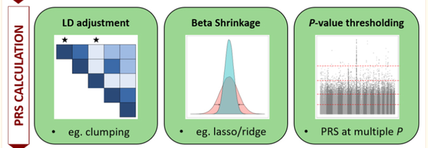 开局一张图 | 介绍PRS的计算步骤 - 知乎