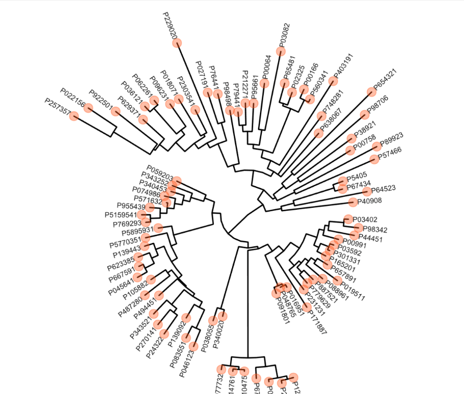 iqtree+ggtree绘制进化树教程 - 知乎