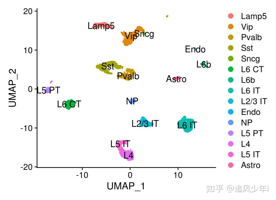 10X单细胞空间联合分析之十一（CellTrek） - 知乎