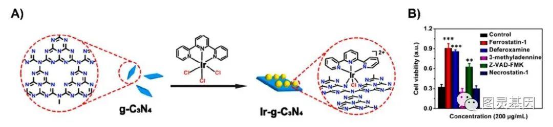 Che Rev | 调节性细胞死亡机制的诱导剂 - 知乎