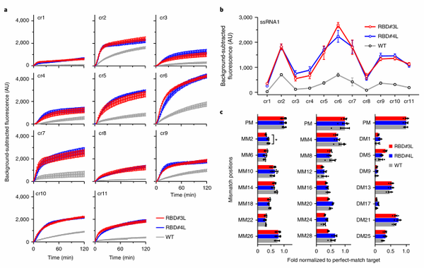文献解读|增强LwaCas13a旁切活性，实现超灵敏核酸检测 - 知乎
