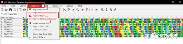 MEGA-X | 选择模型构建进化树（超慢的~） - 知乎