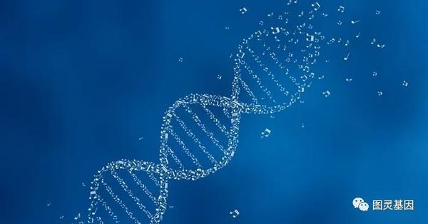 Cell Sys | UCSD医学院多尺度系统绘制DNA损伤反应图谱 - 知乎