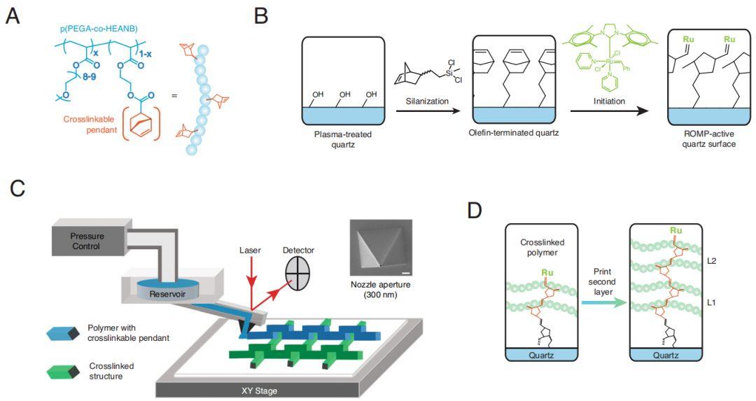 【Nature/Science期刊集锦】关于3D打印相关的研究报导 - 知乎