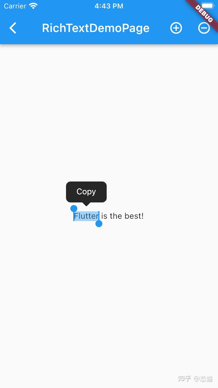 Flutter 3.3 之 SelectionArea 好不好用？用 “Bug” 带你全面了解它 - 知乎