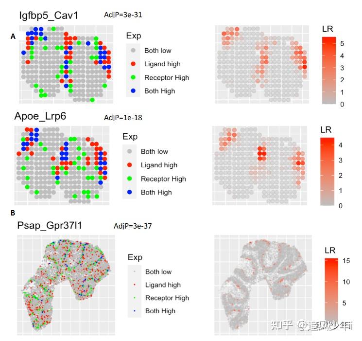 10X空间转录组分析之空间模式与共定位 - 知乎